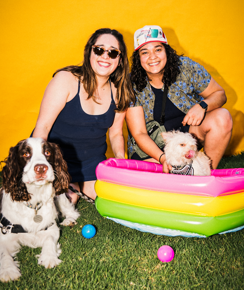 Woof and Whiskers - Rebrand Unleash | www.archpointcreative.com